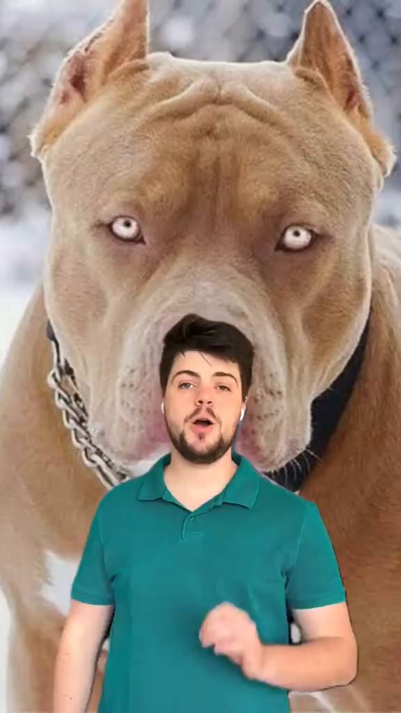 Memes de vídeo p2ykTMfkA por MR_COMEDIA: 7 comentários - iFunny