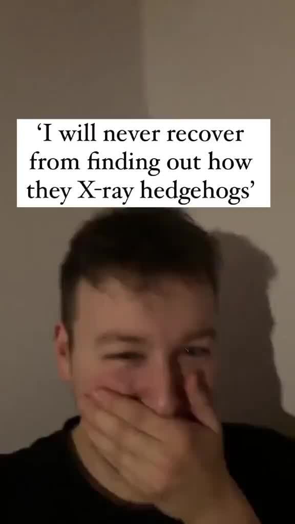 'T will never recover from finding out how they X-ray hedgehogs' - iFunny