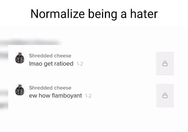 Normalize being a hater Shredded cheese mao get ratioed Shredded cheese ...